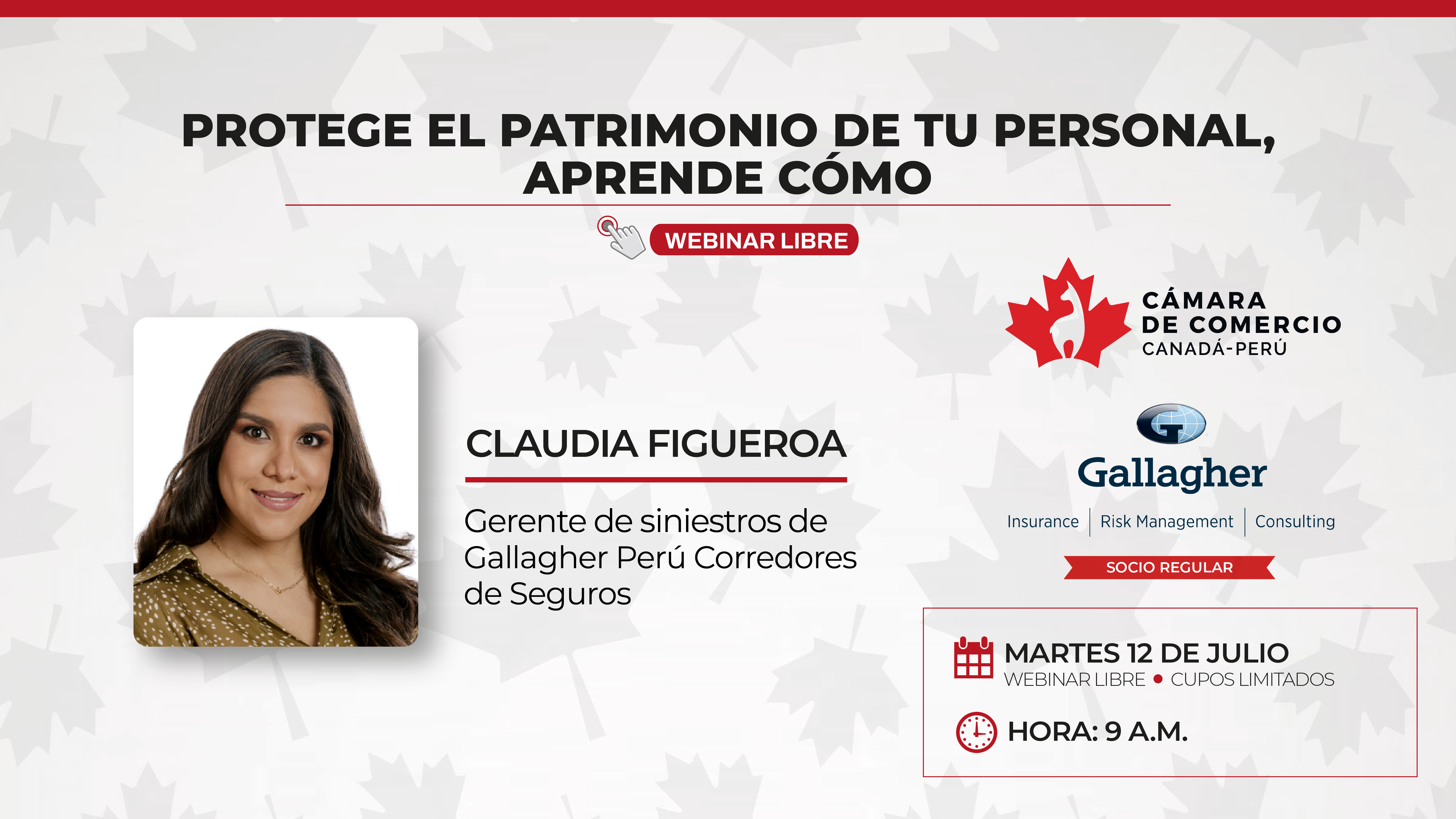 GALLAGHER PERÚ | PROTEGE EL PATRIMONIO DE TU PERSONAL, APRENDE CÓMO ...
